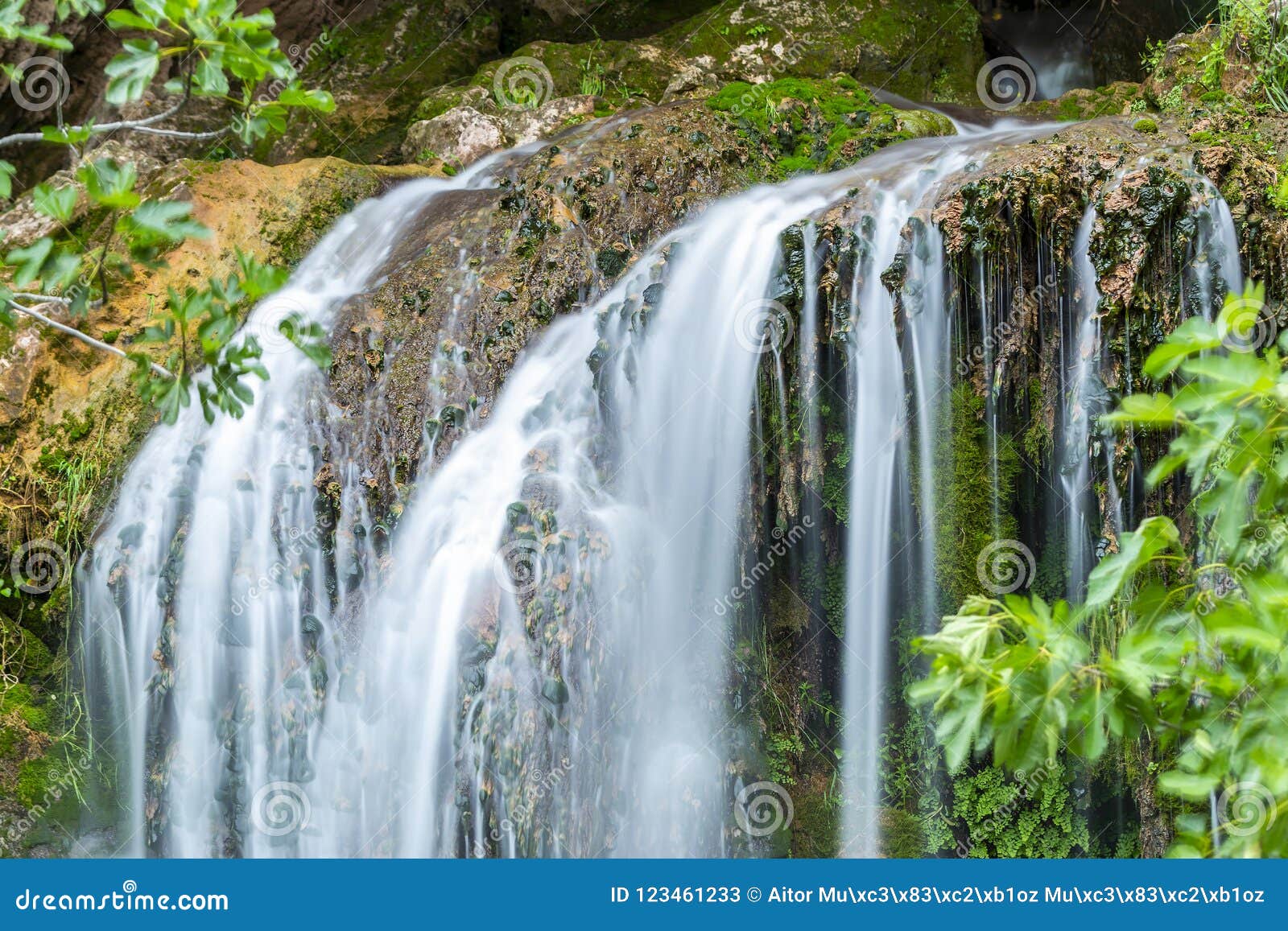 Flowing Cascade in Forest. Long Exposure Stock Image - Image of clean ...