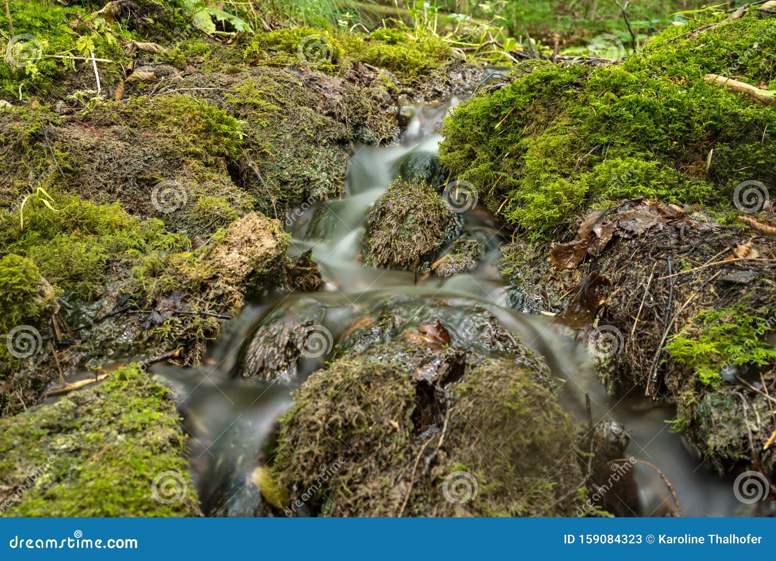 Flowing Clean Water Just after the Source of the Emergence in the Green ...