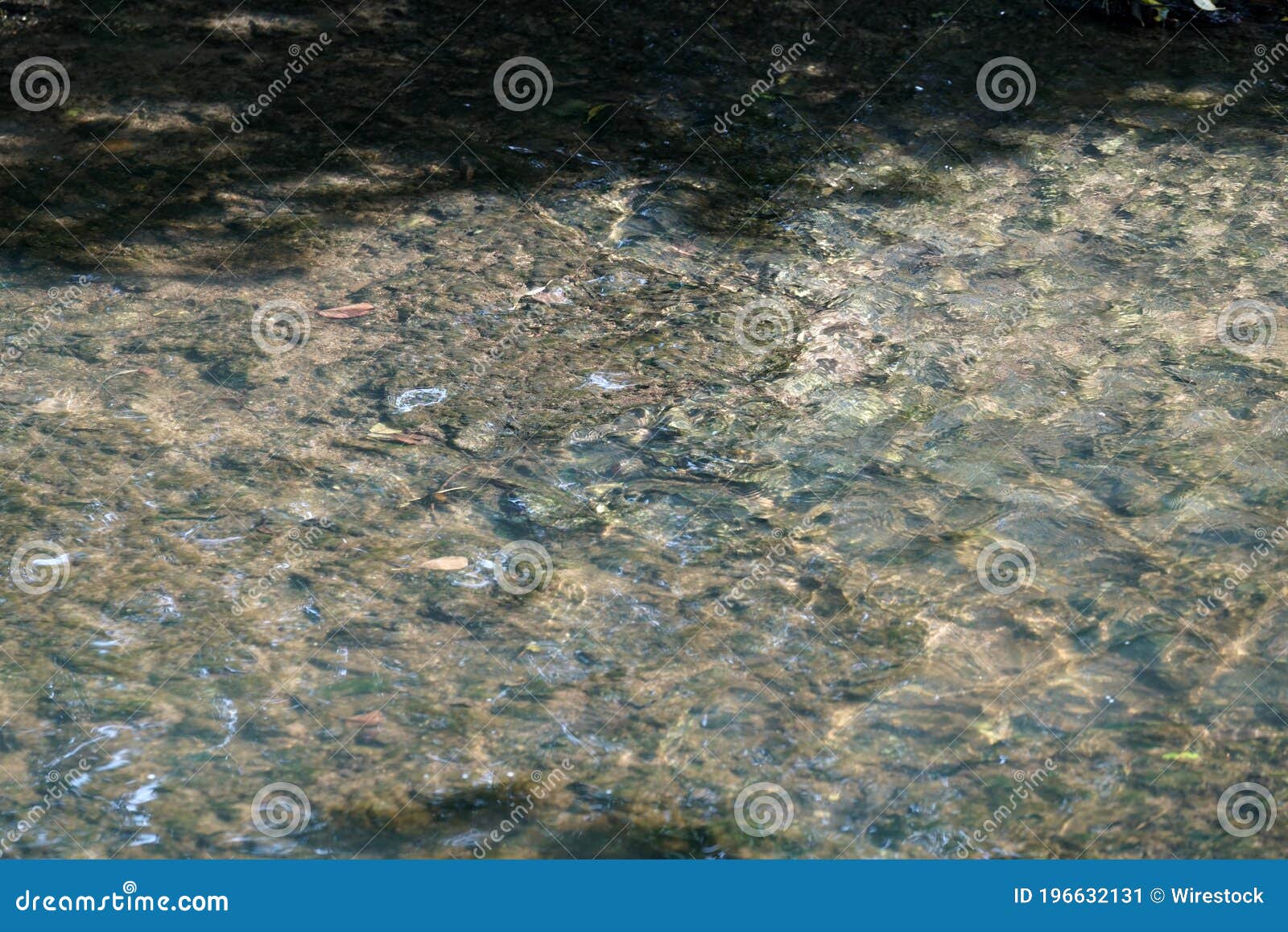 Flowing Clean Water of the River Stock Image - Image of liquid ...