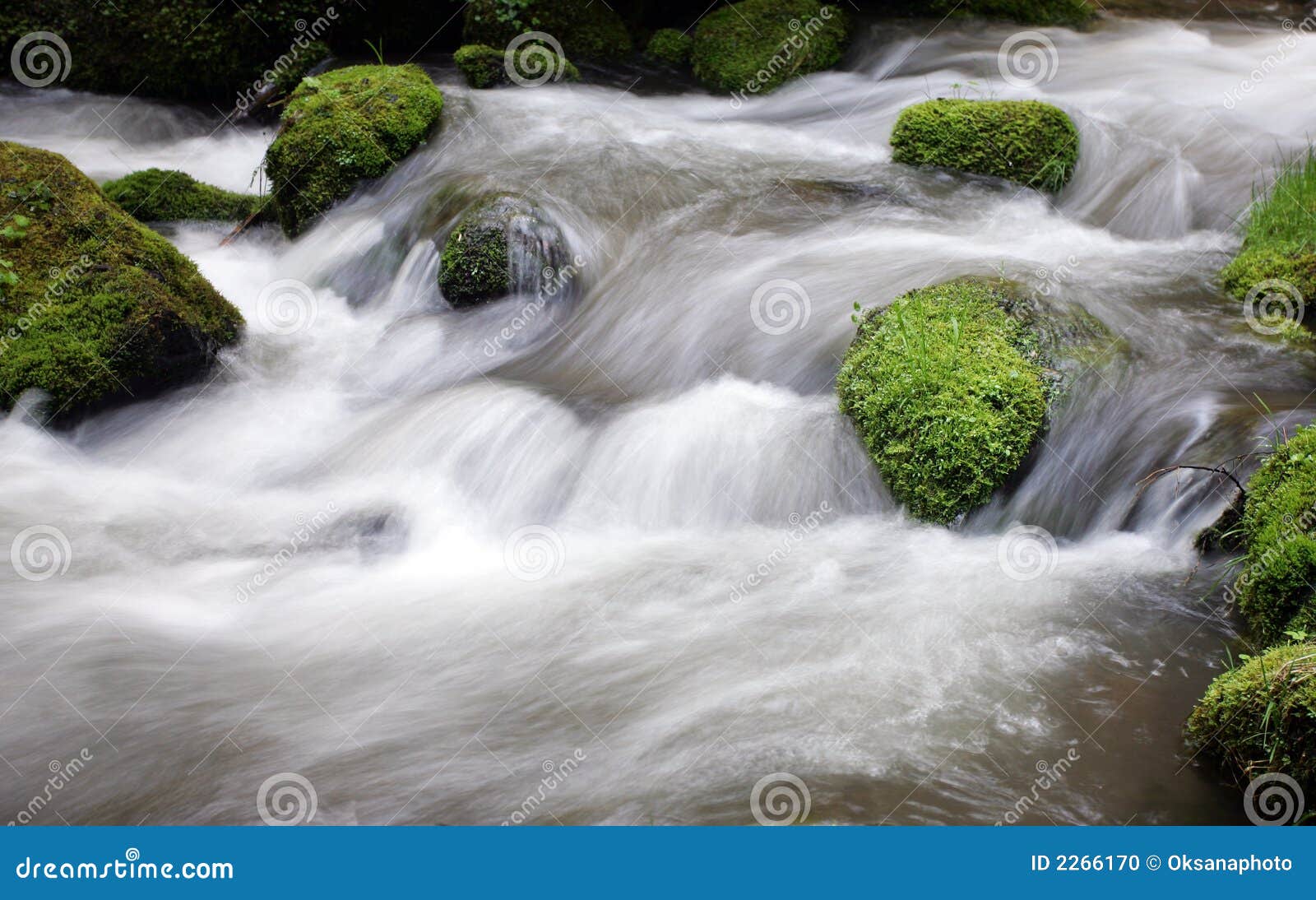 Flowing creek stock photo. Image of river, fall, green - 2266170