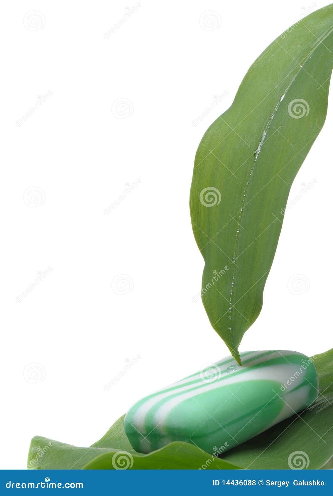 Flowing Down Water on a Leaf on Soap Stock Photo - Image of luxury ...