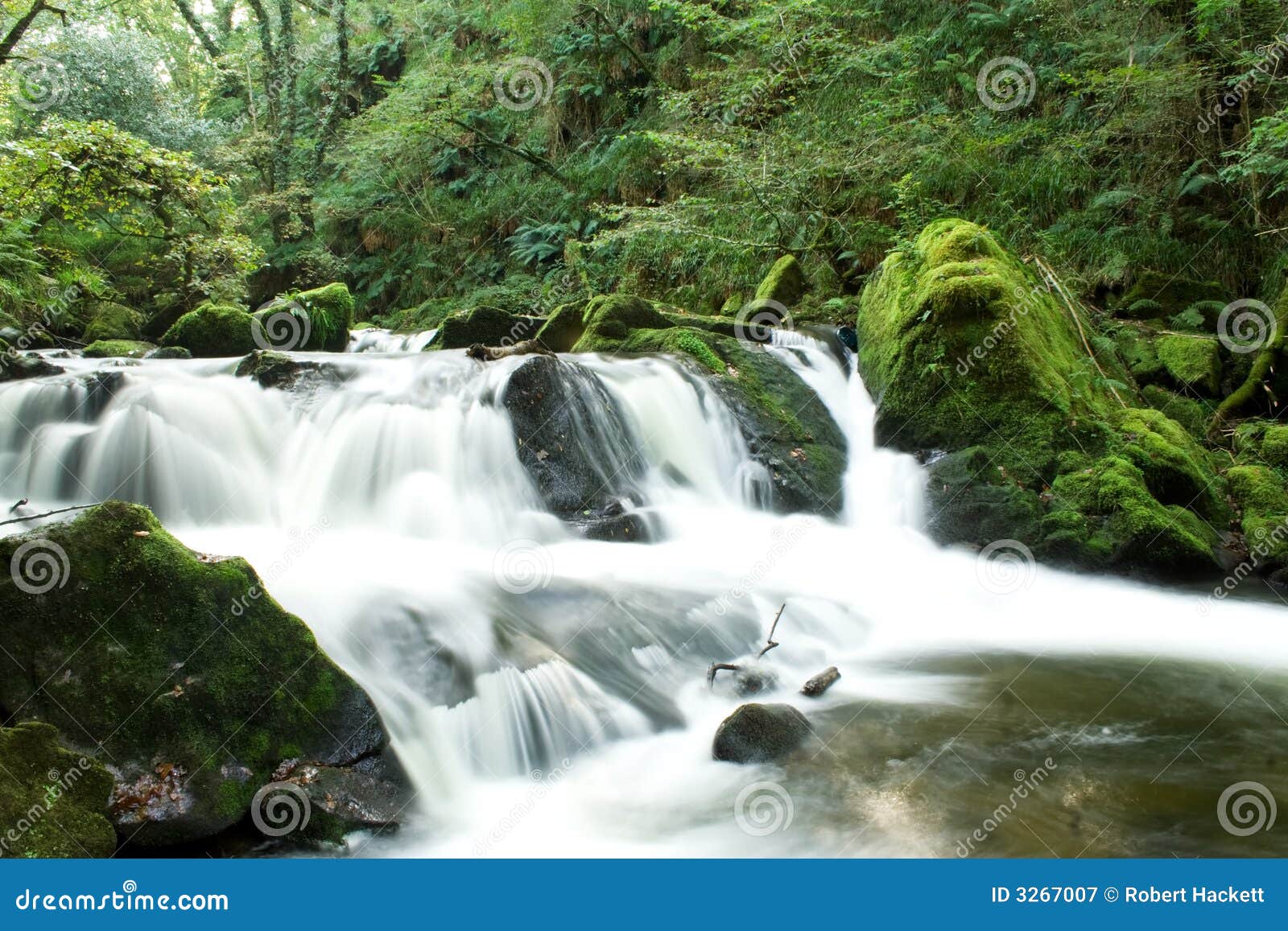 Flowing falls stock image. Image of white, green, rocks - 3267007