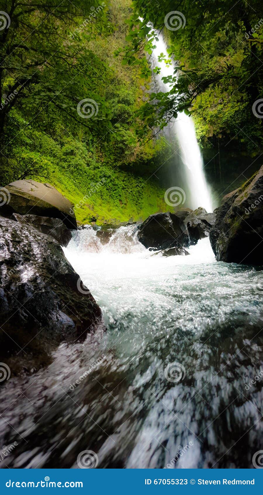 Flowing falls stock image. Image of small, river, green - 67055323