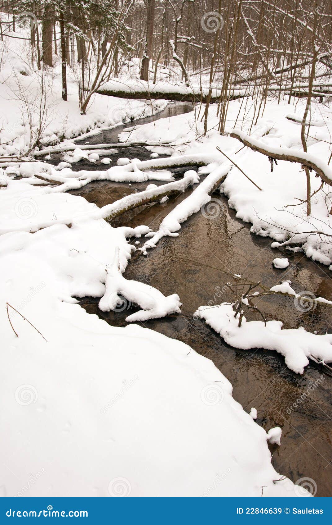 Flowing Forest Stream Water in Winter. Coast Snow Stock Image - Image ...