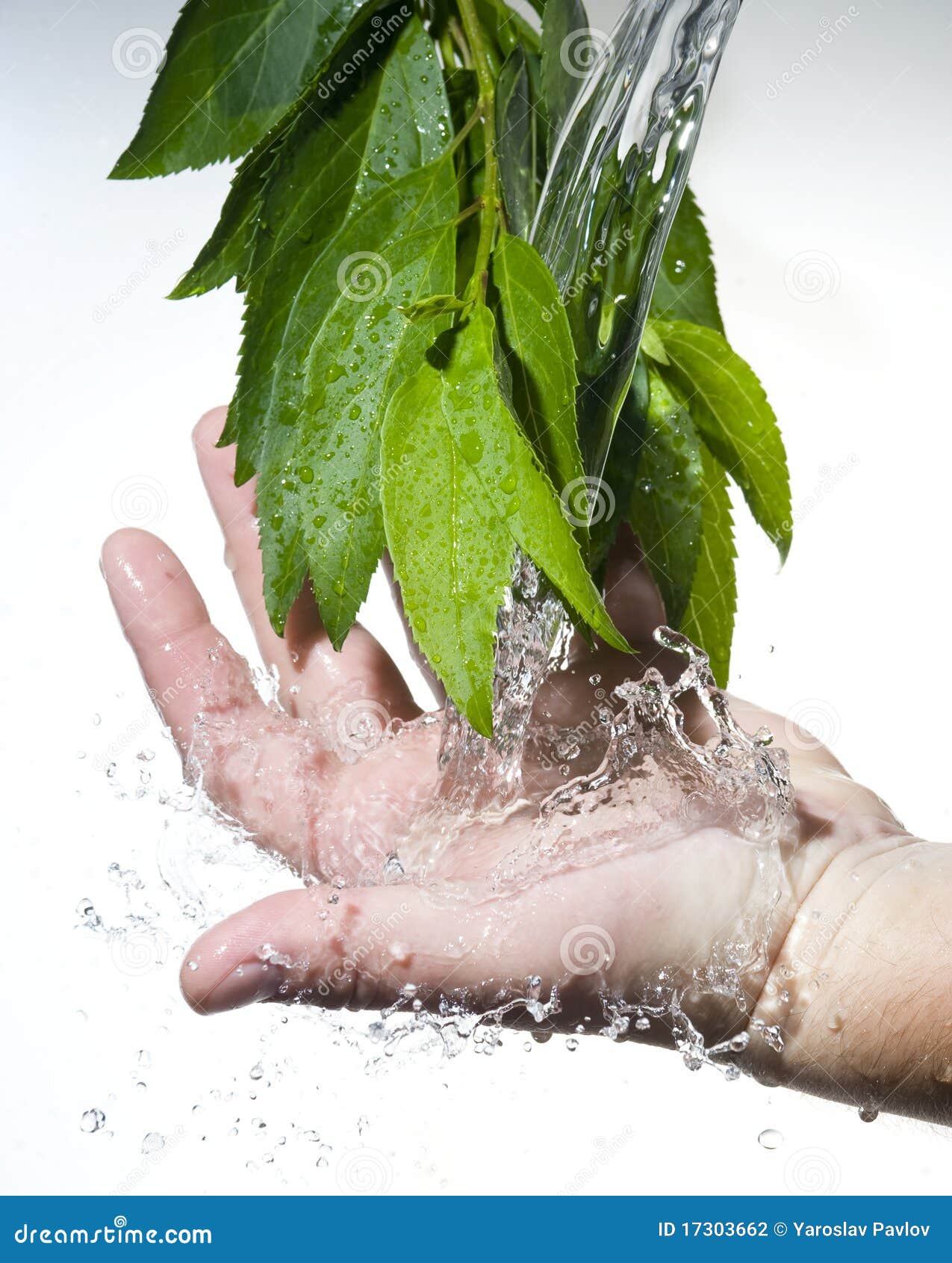 Flowing fresh water stock photo. Image of spring, antioxidant - 17303662