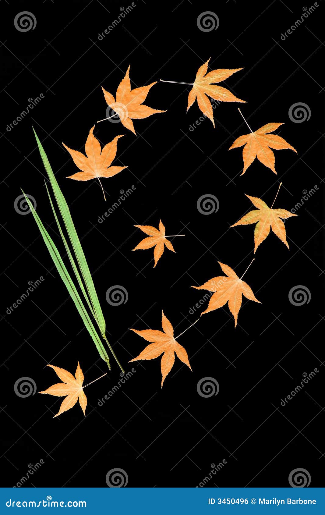 Flowing Leaves stock photo. Image of natural, green, dramatic - 3450496