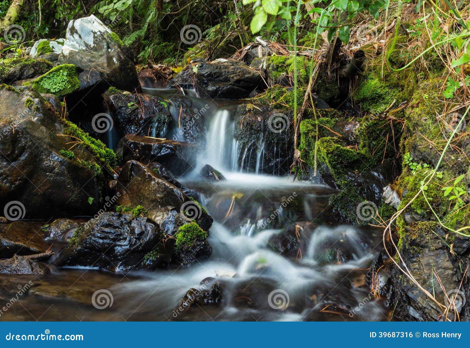 Flowing Natural Waters stock photo. Image of rocks, river - 39687316