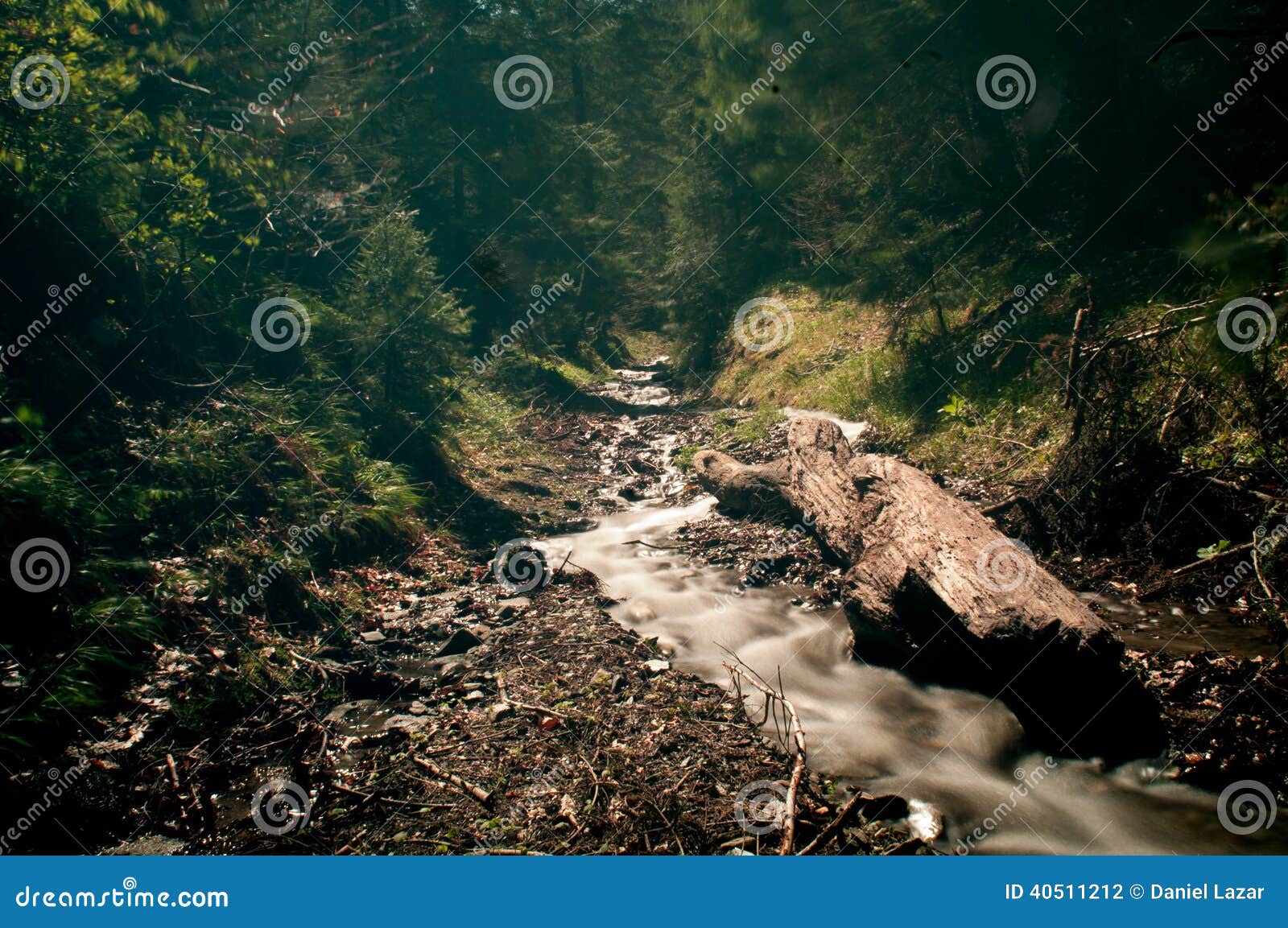 Flowing in nature stock photo. Image of water, flow, small - 40511212