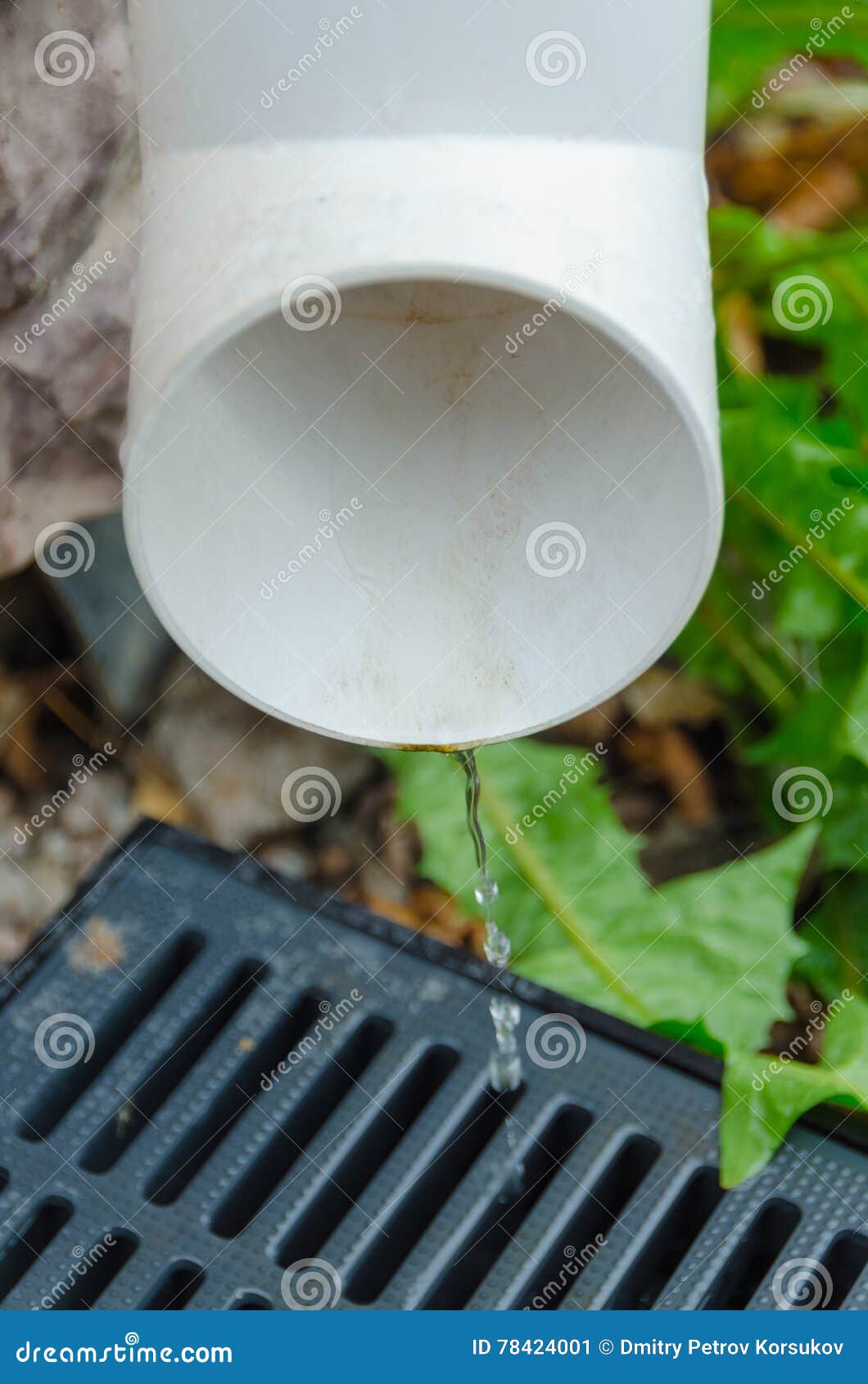 Flowing Rainwater Flows Down in a Thin Stream into the Grid Drainage ...