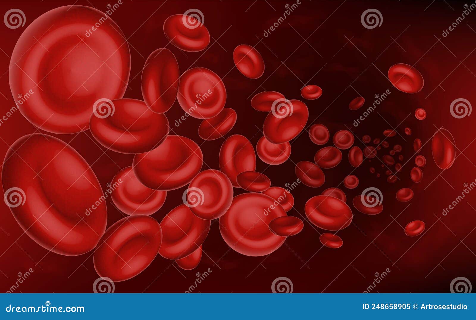 Flowing Red Blood Cells, 3D Realistic Vector Illustration Stock Vector ...