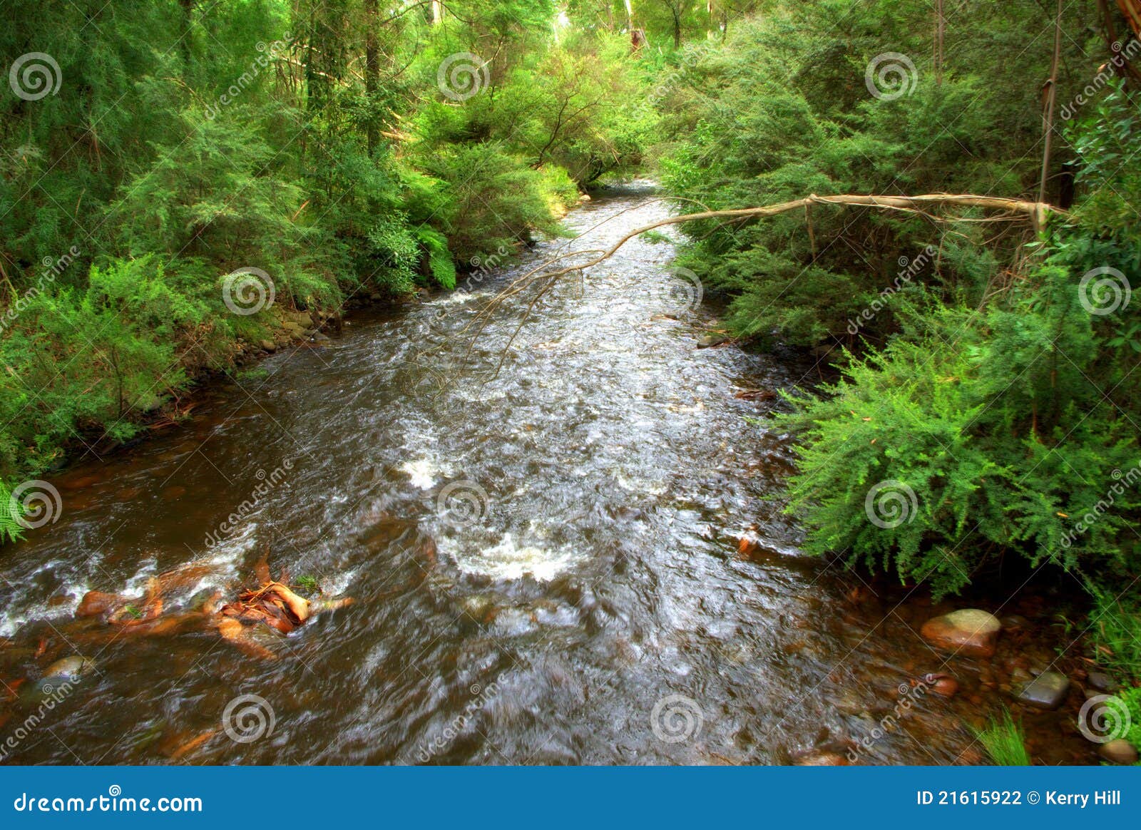 Flowing river stock photo. Image of color, evergreen - 21615922