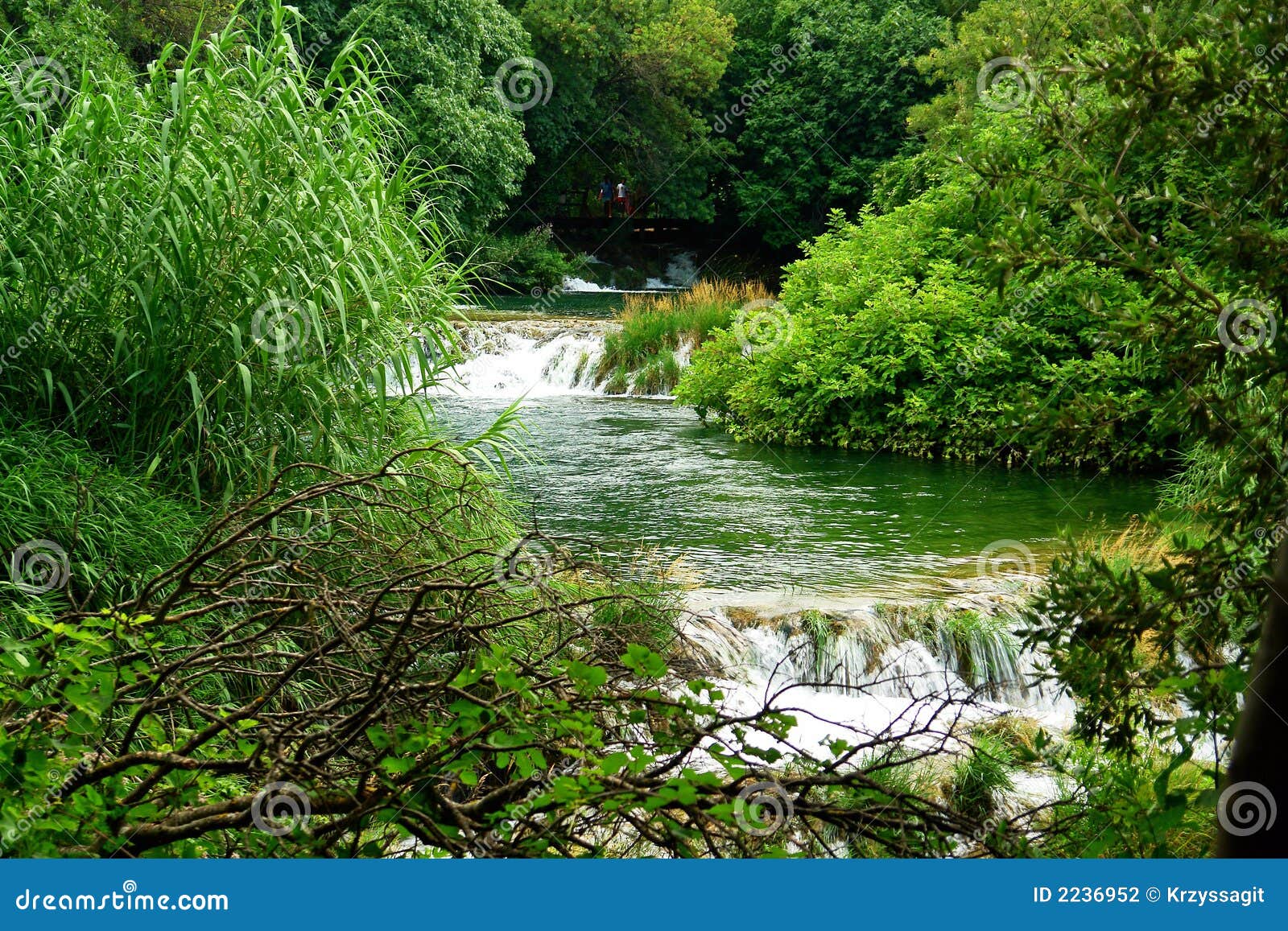 Flowing river stock photo. Image of stream, leafy, flowing - 2236952