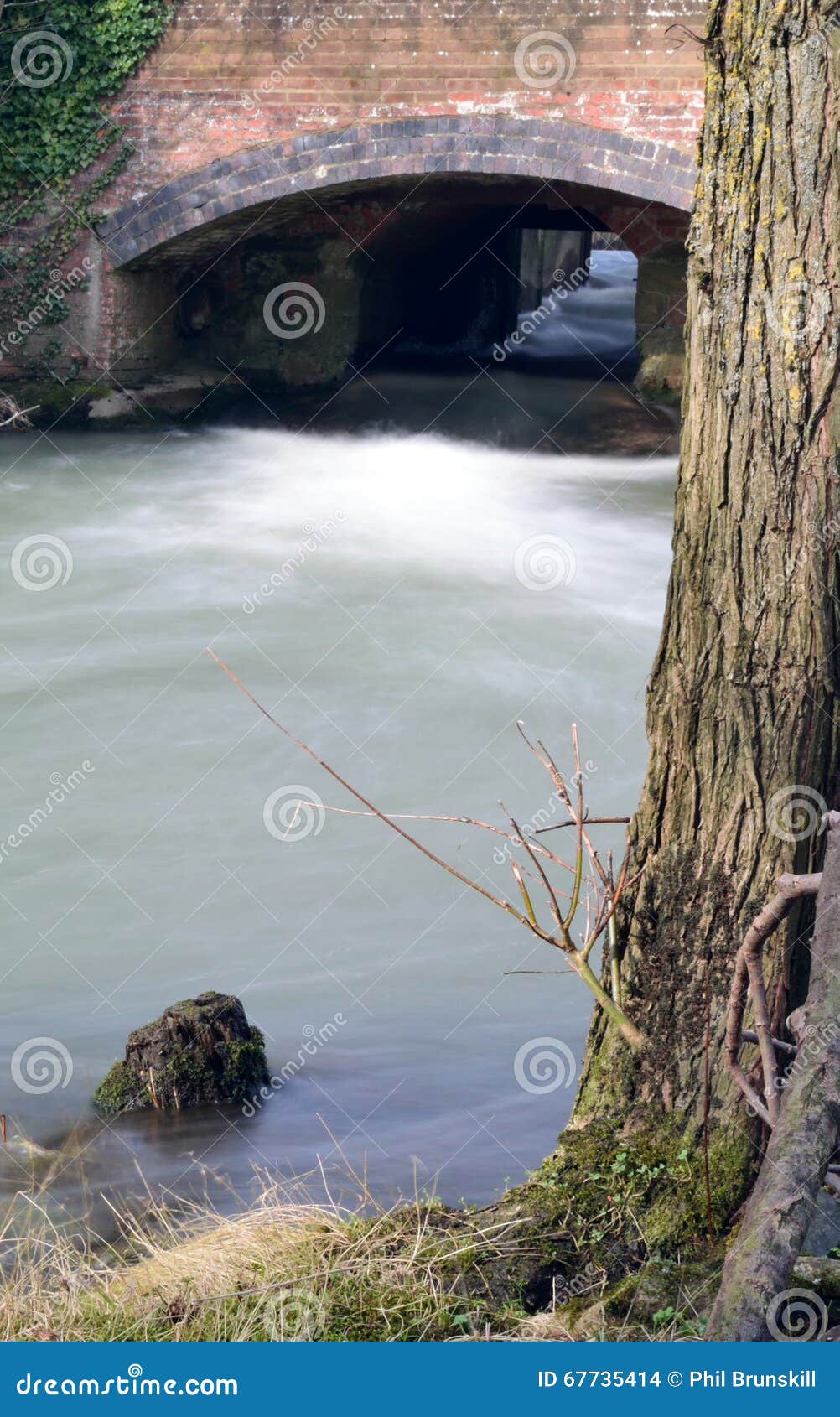 Flowing river Cherwell stock photo. Image of tree, bridge - 67735414
