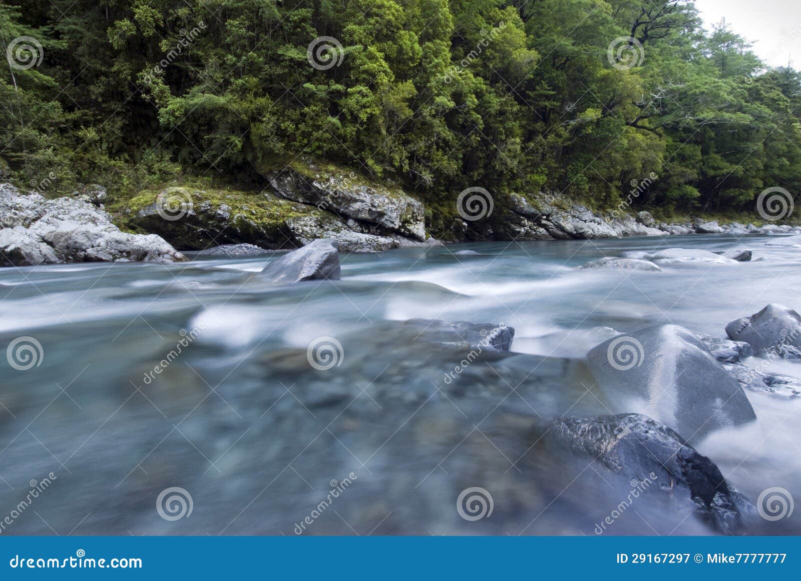 Flowing River and Forest,Fiordland, New Zealand Stock Image - Image of ...