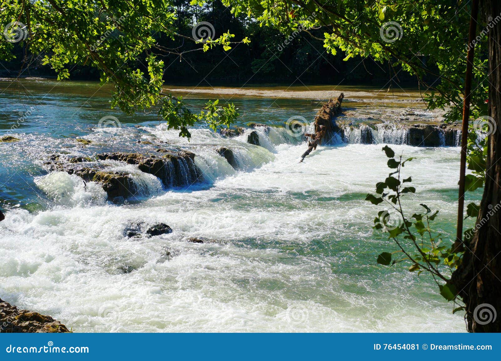 Flowing River with Rapids and Trees on a Sunny Day Stock Image - Image ...