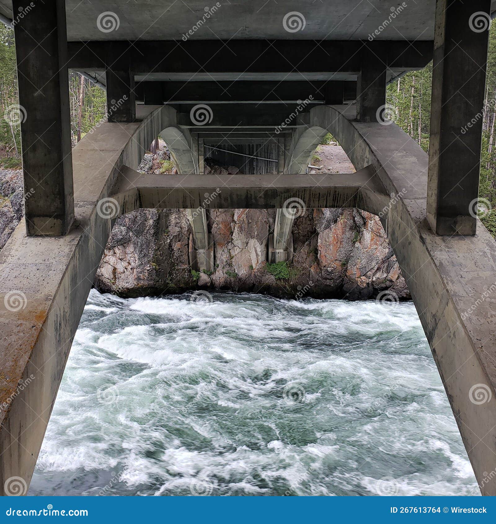 Flowing River Under Bridge Surrounded by Dense Trees Stock Photo ...