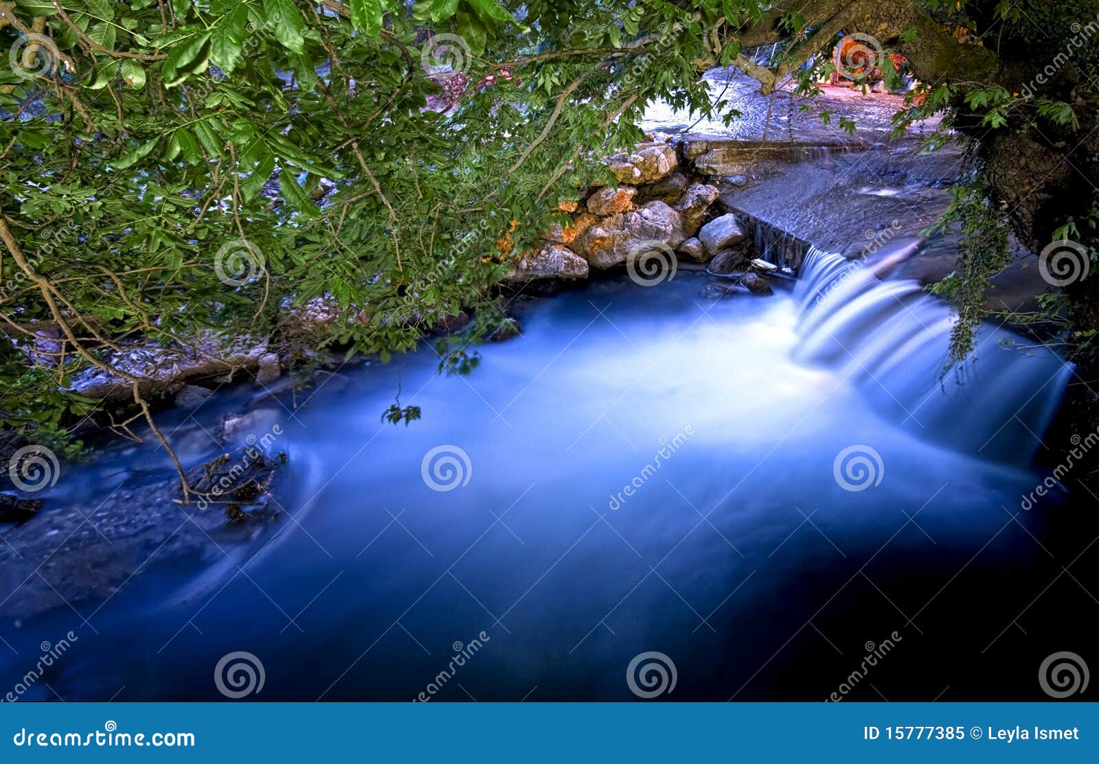 Flowing River Under Trees stock image. Image of land - 15777385