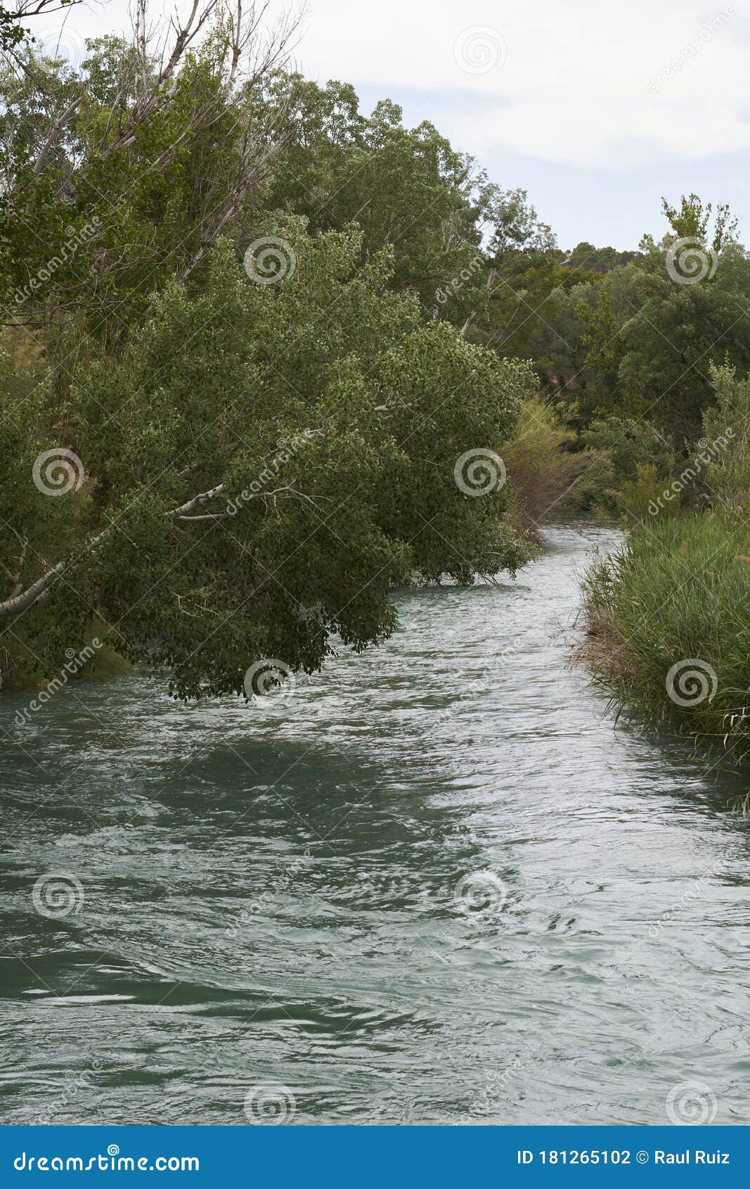 Flowing River among the Vegetation Stock Photo - Image of bright ...