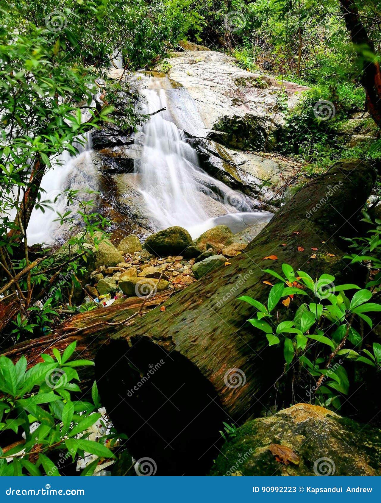 FLOWING in a ROCKY STREAM in a MOUNTAIN Stock Image - Image of explore ...
