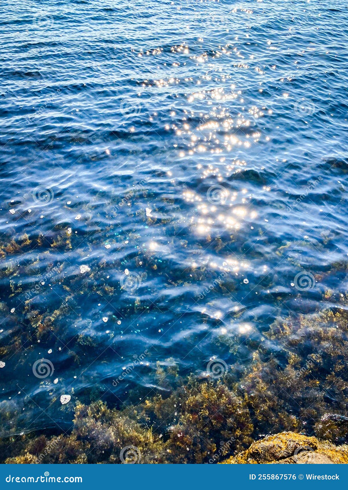 Flowing Sea Water Surface with Sun Rays Reflecting on it Stock Photo ...
