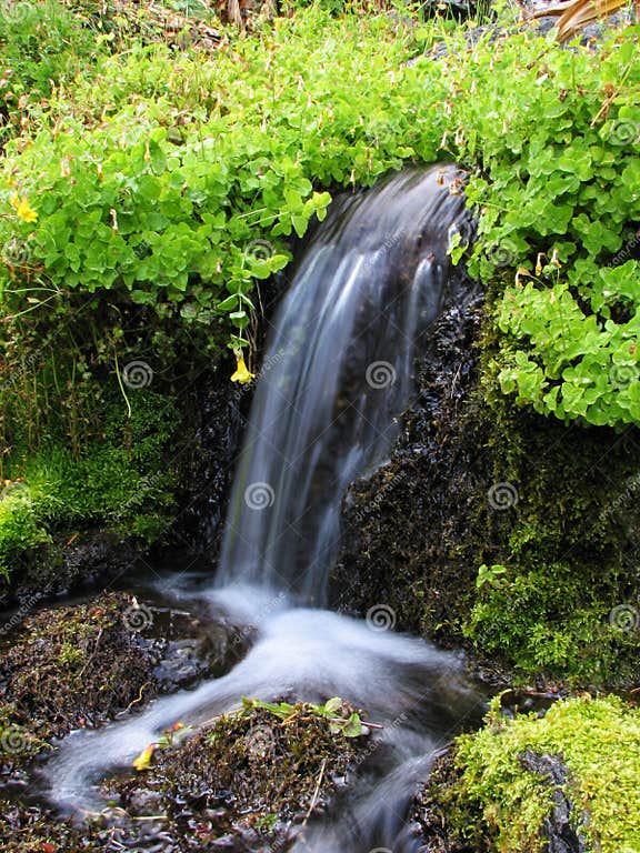 Flowing spring stock image. Image of clean, green, silky - 3298671
