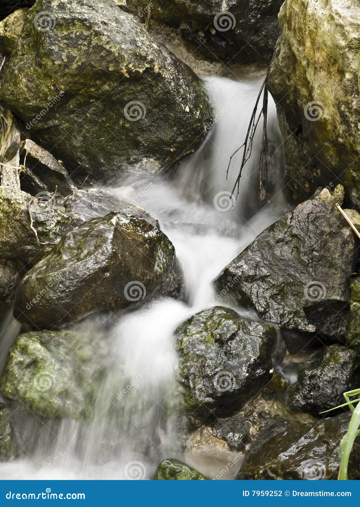 Flowing Springwater stock photo. Image of flowing, stream - 7959252