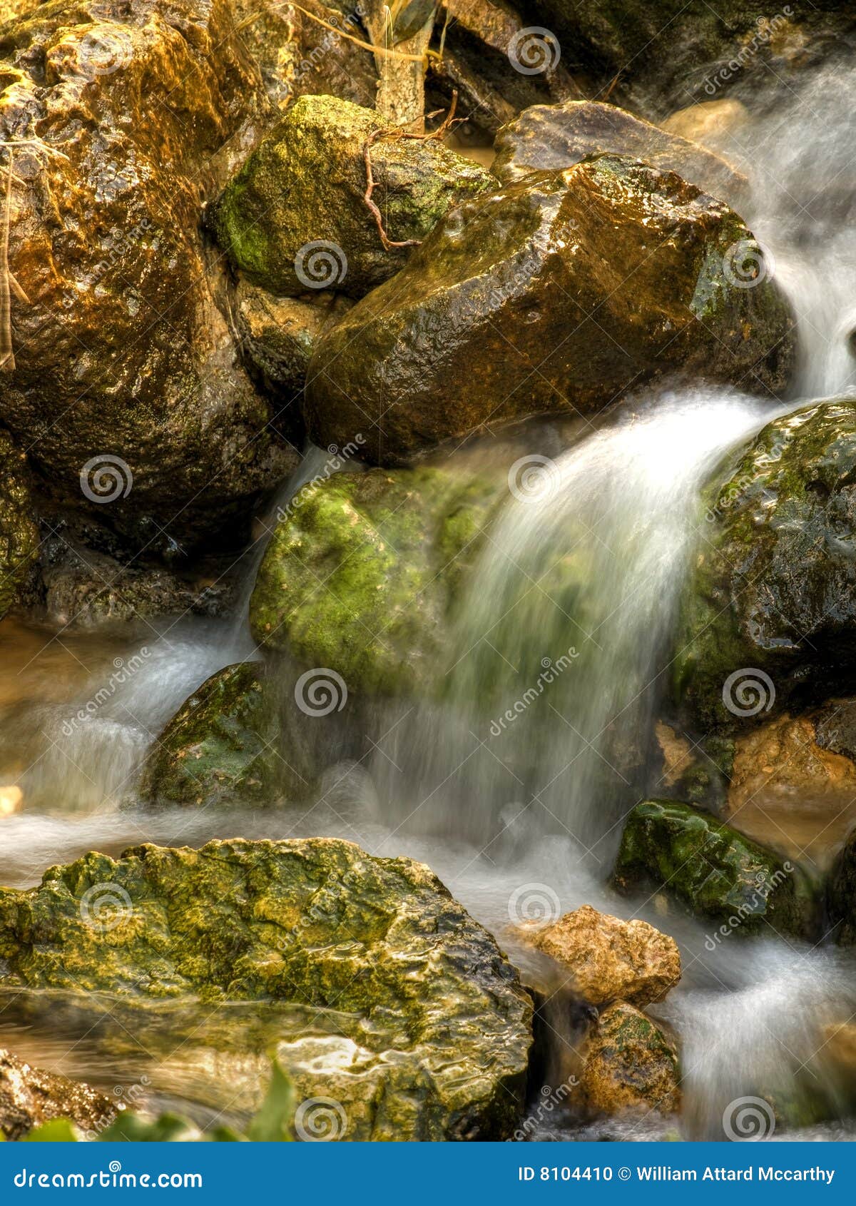 Flowing Springwater stock photo. Image of countryside - 8104410