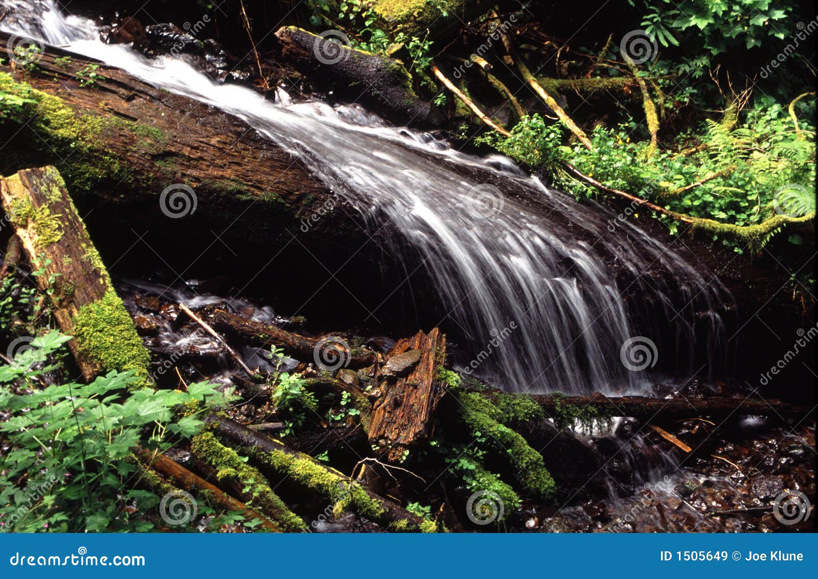 Flowing Stream stock image. Image of tree, stream, plants - 1505649
