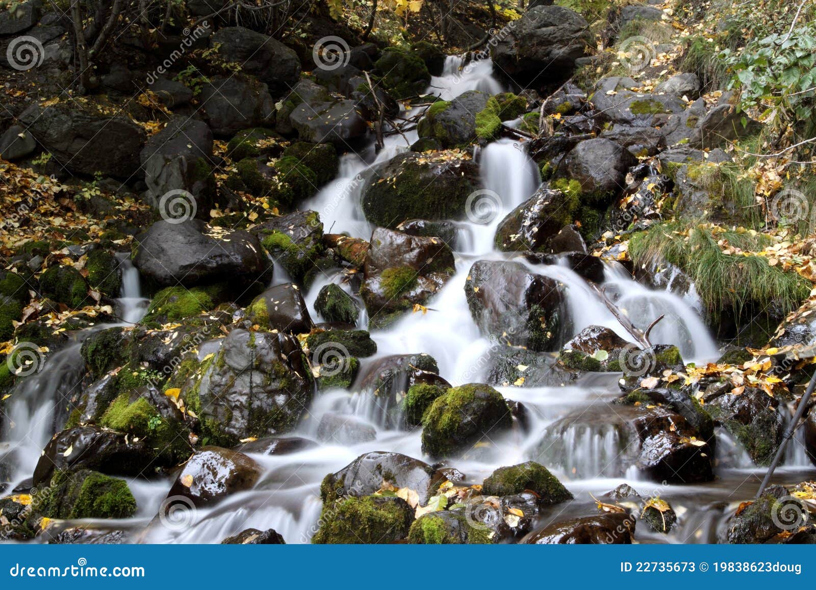 Flowing Stream stock image. Image of falls, nature, flowing - 22735673