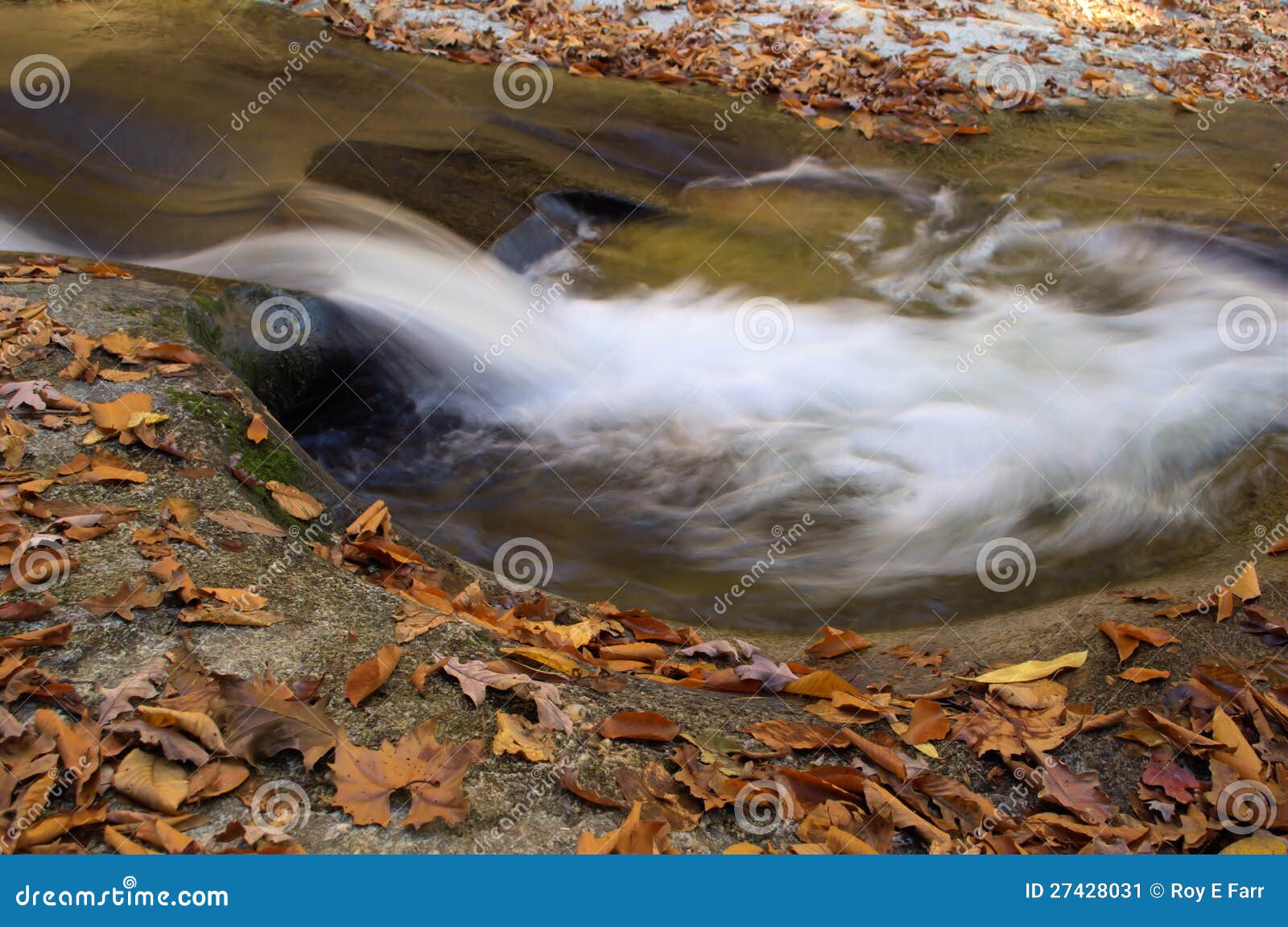 Flowing Stream stock image. Image of water, stream, creek - 27428031