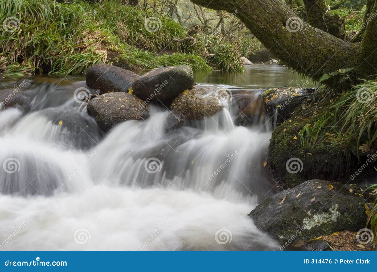 Flowing stream stock photo. Image of fall, forest, hills - 314476