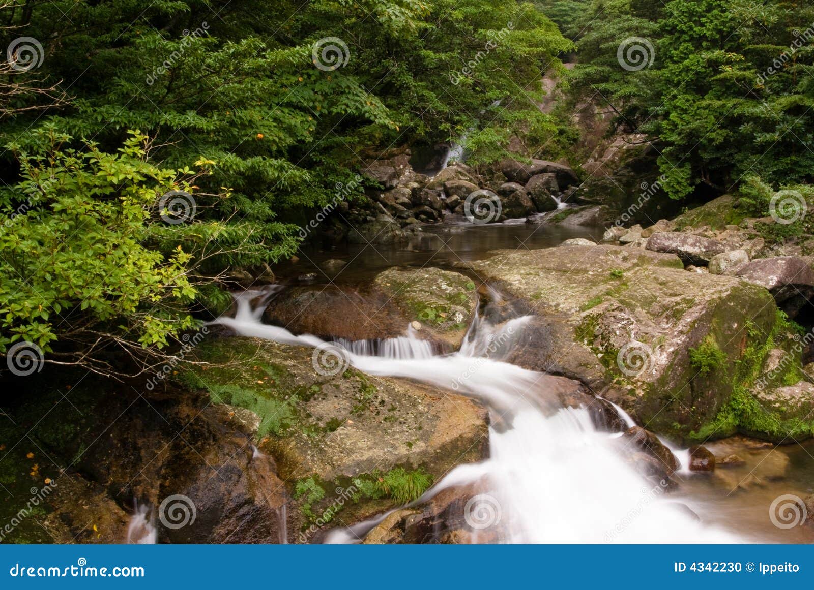 Flowing stream stock photo. Image of natural, stone, japanese - 4342230