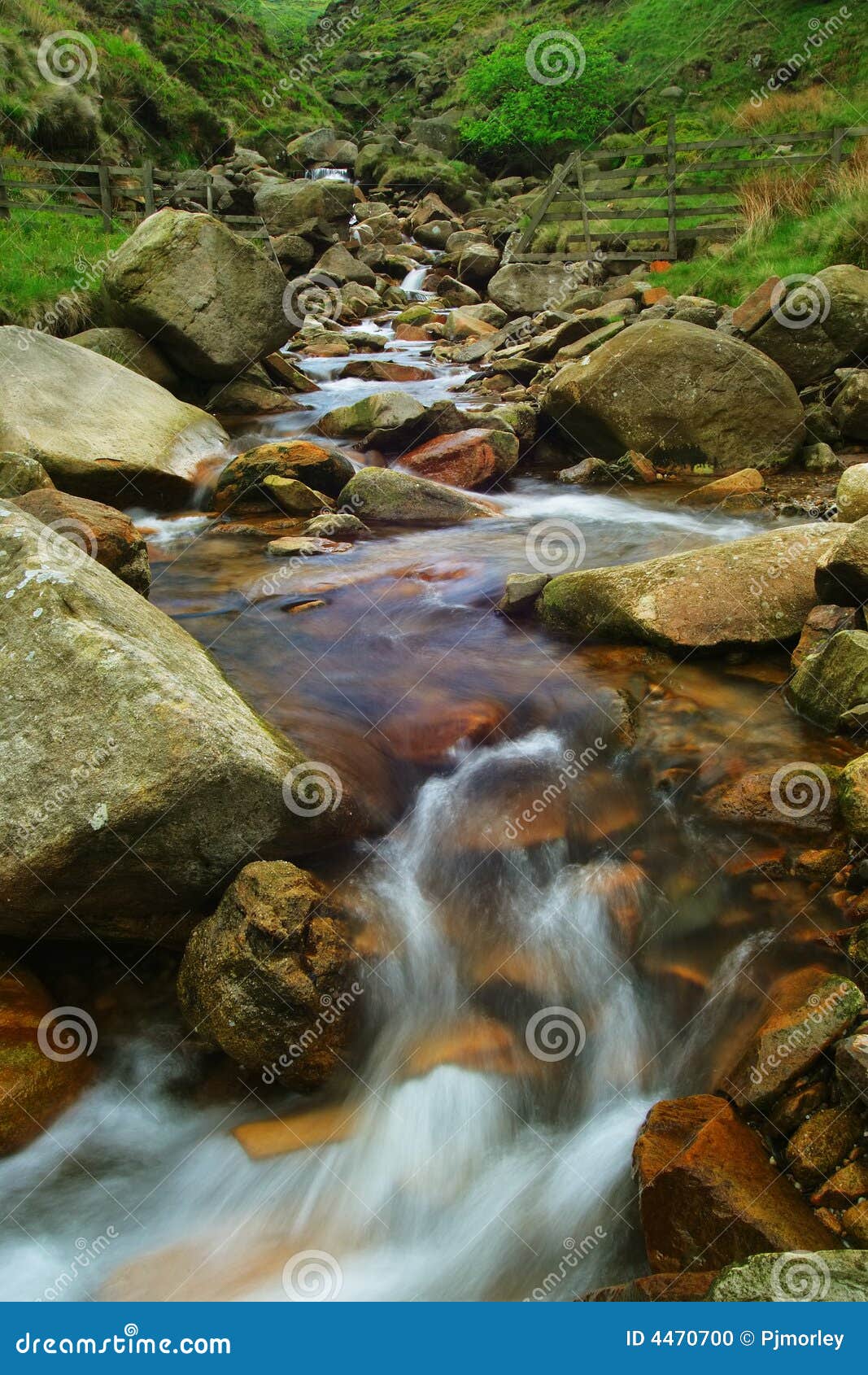 Flowing Stream stock photo. Image of natural, stone, environmental ...