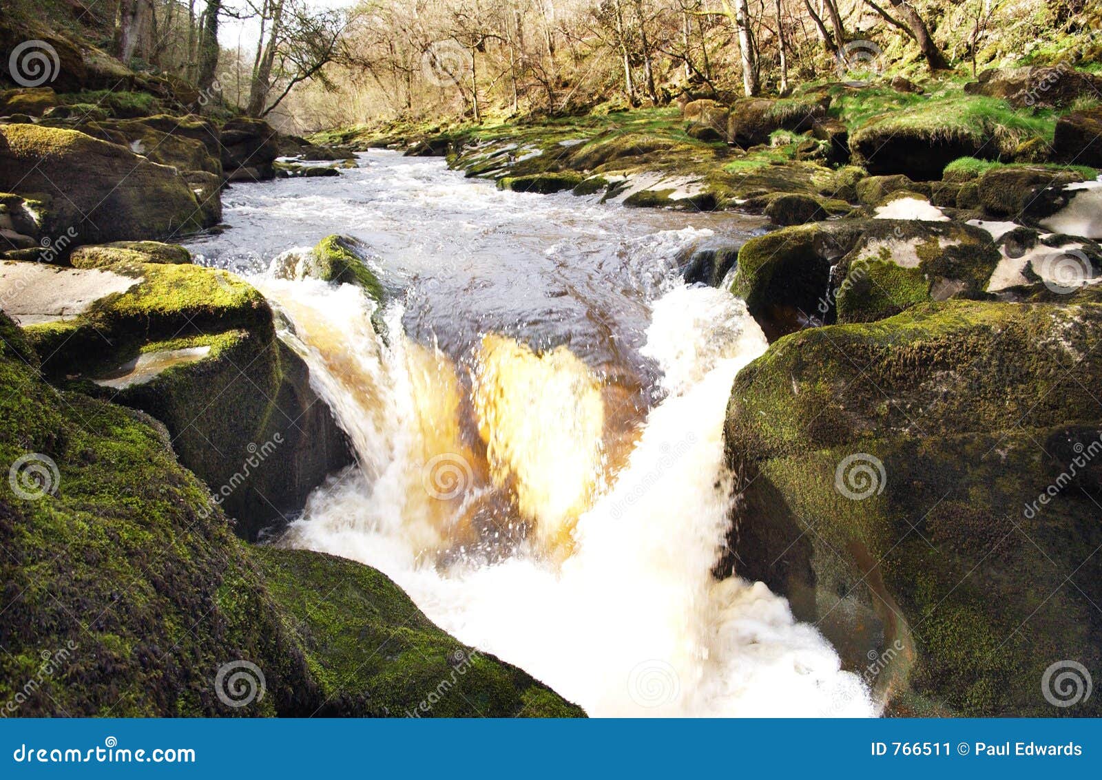 The flowing Stream stock image. Image of flowing, water - 766511