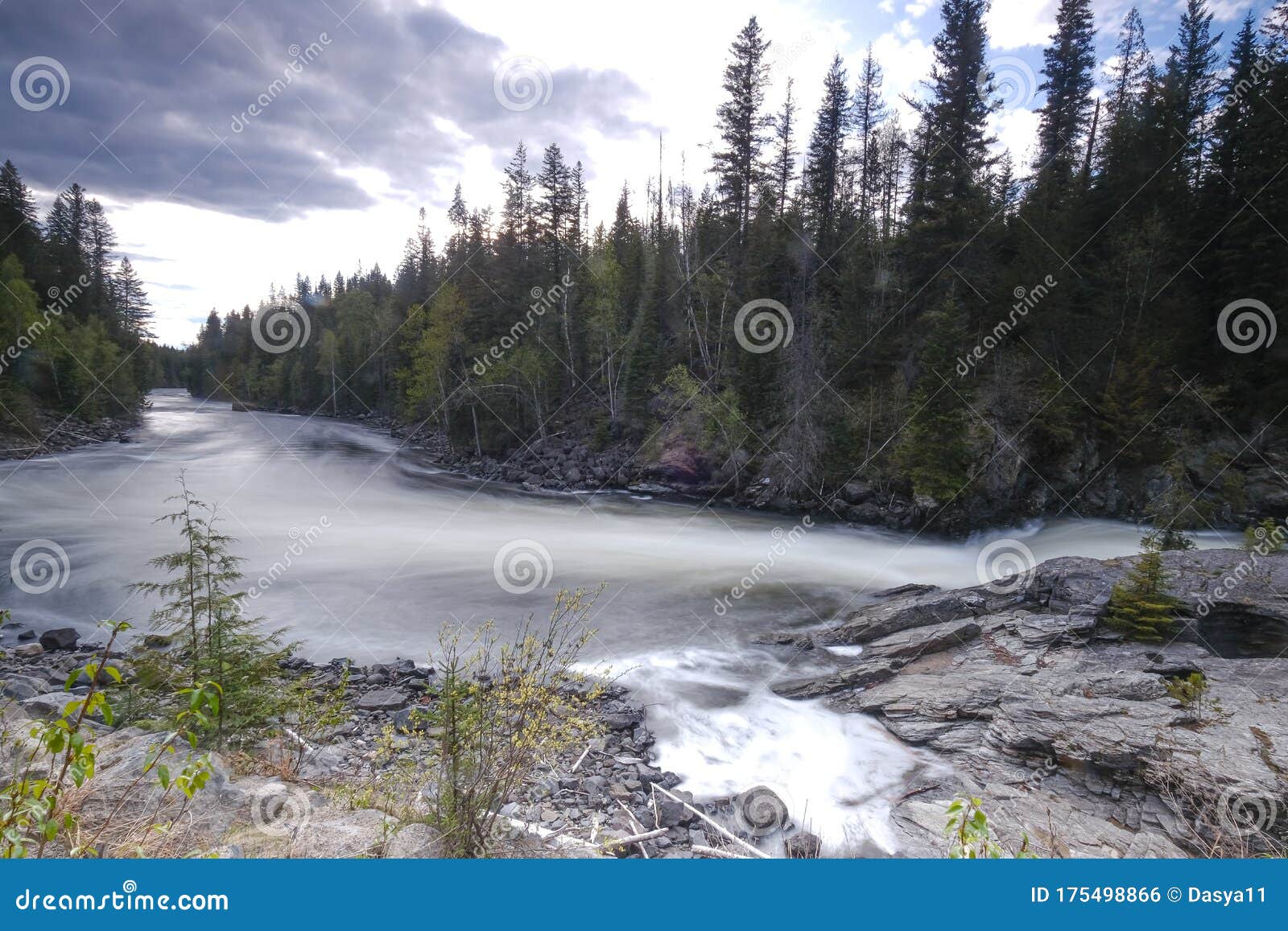 Flowing Stream in Banff National Park, Canada Stock Photo - Image of ...