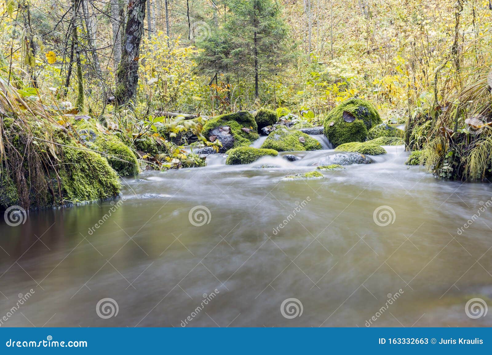Flowing Stream in Forest in Autumn Stock Image - Image of park, leaf ...