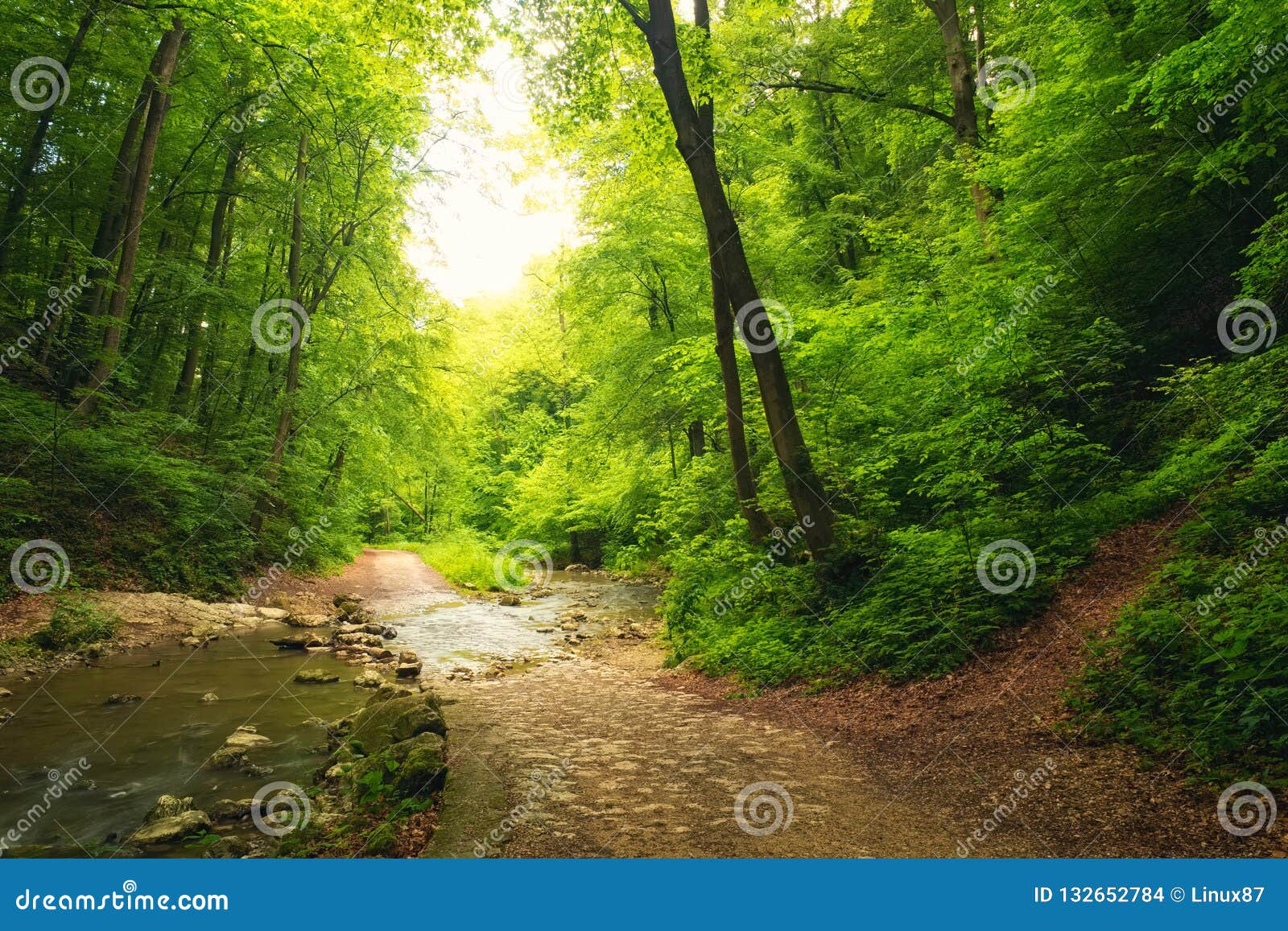 Flowing stream in forest stock photo. Image of outdoor - 132652784