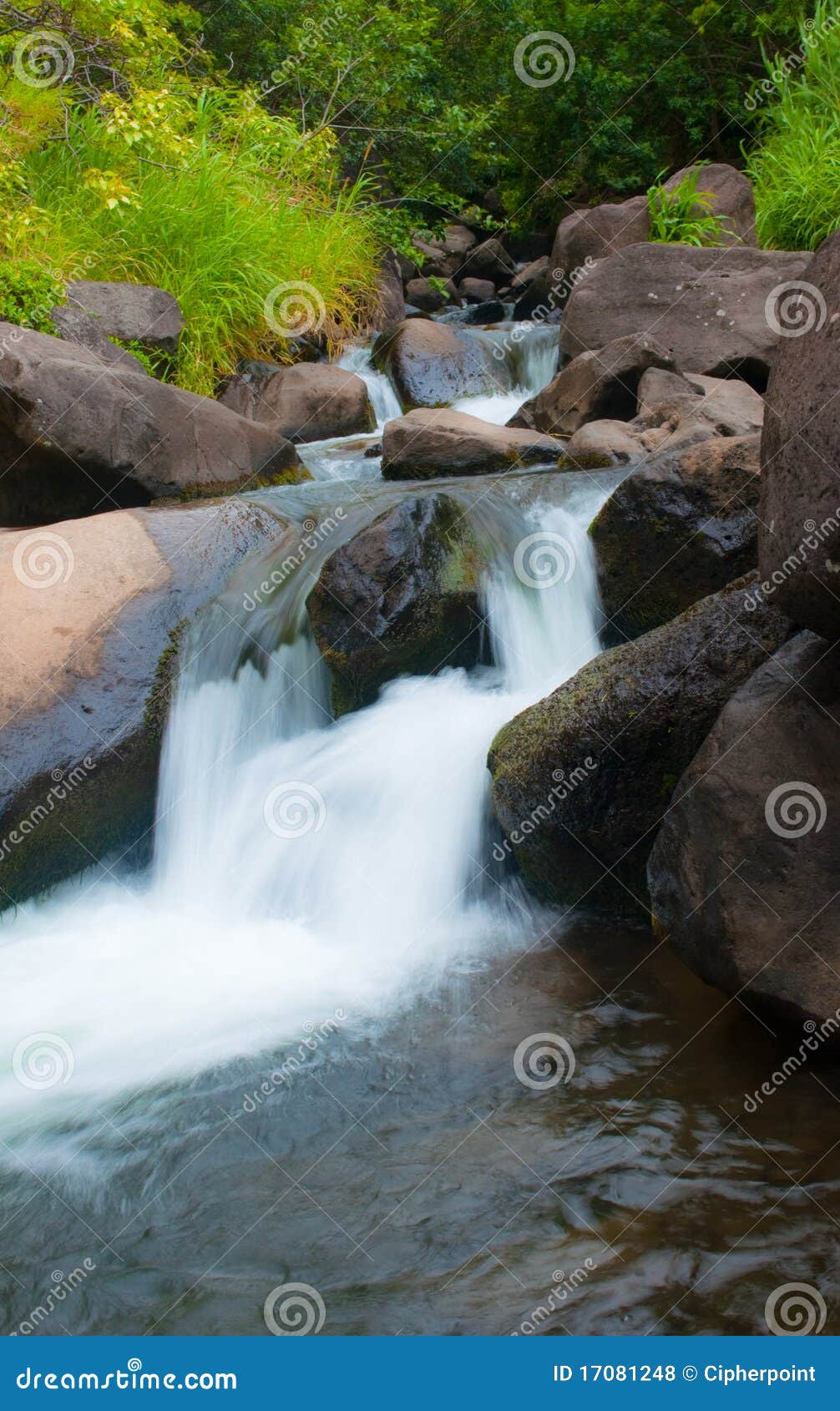 Flowing Stream in Hawaii stock photo. Image of vacation - 17081248