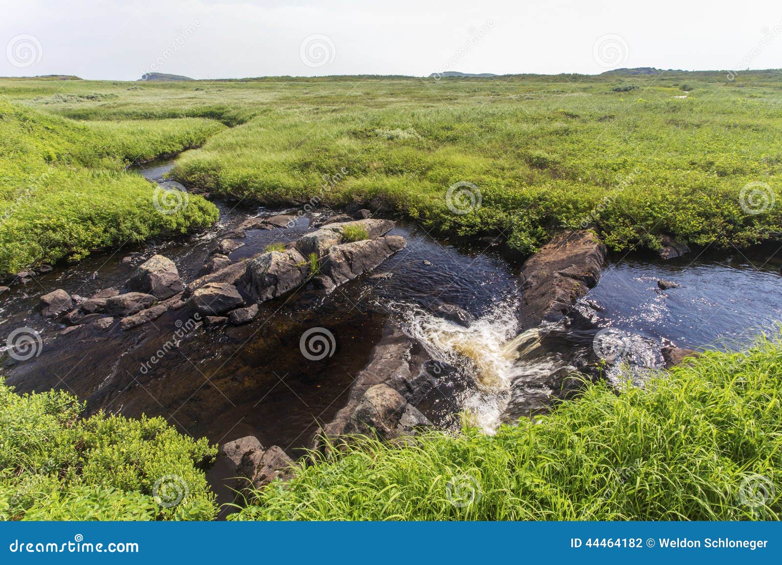 Flowing Stream, L Anse Aux Meadows, Newfoundland Stock Photo - Image of ...