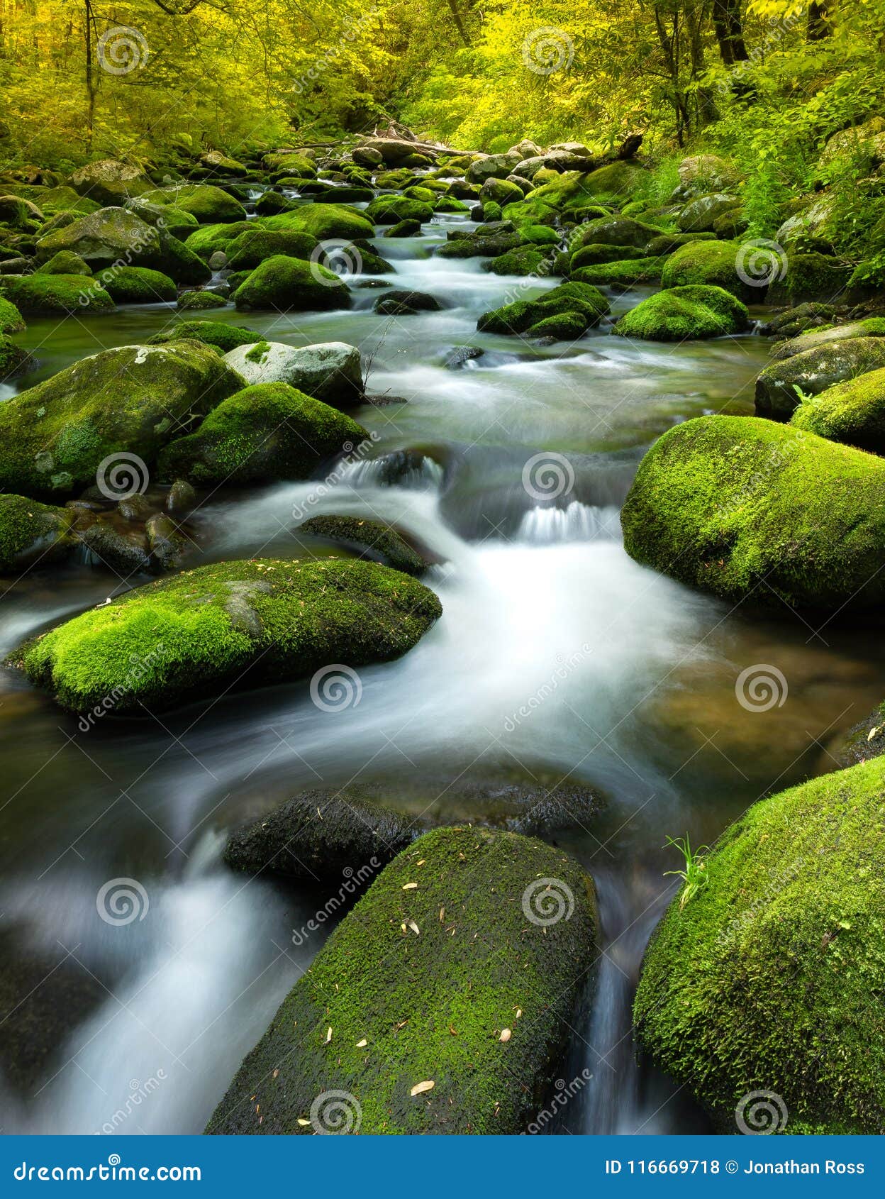 A Flowing Stream with Rocks Stock Photo - Image of river, water: 116669718