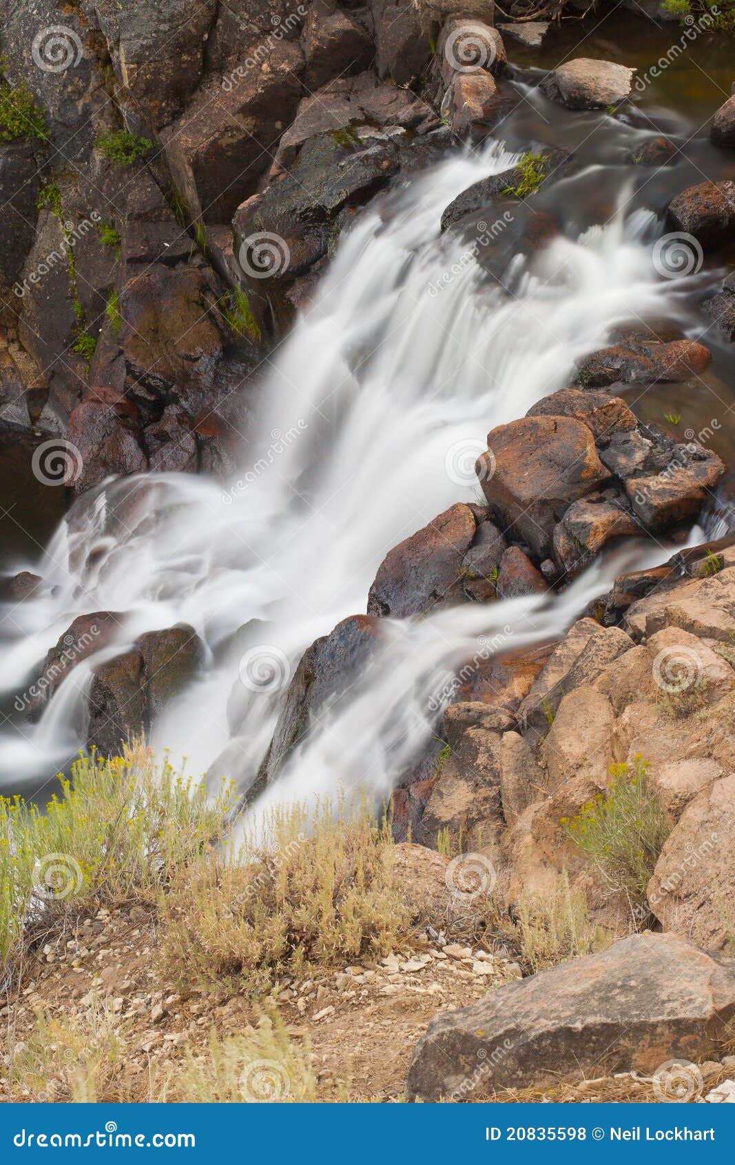 Flowing Time stock photo. Image of falling, plant, beautiful - 20835598