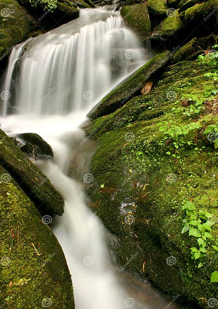 Flowing Water stock image. Image of national, moss, mountains - 123271