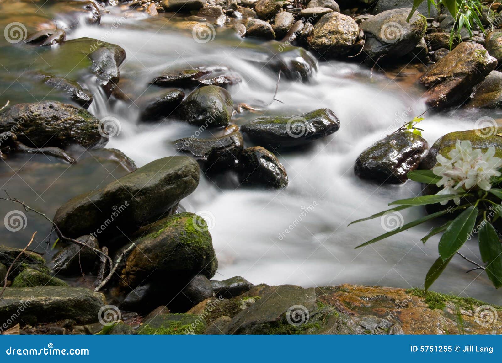 Flowing Water stock image. Image of stream, rocky, silky - 5751255