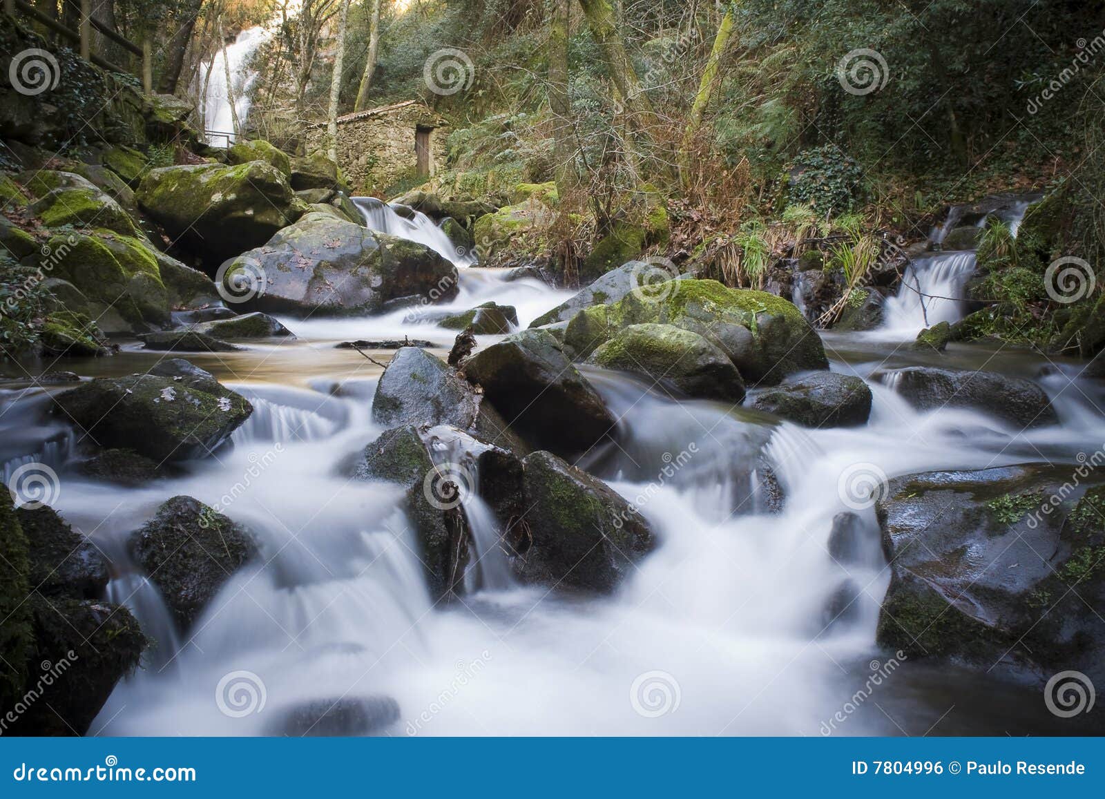 Flowing Water stock photo. Image of stream, falling, water - 7804996