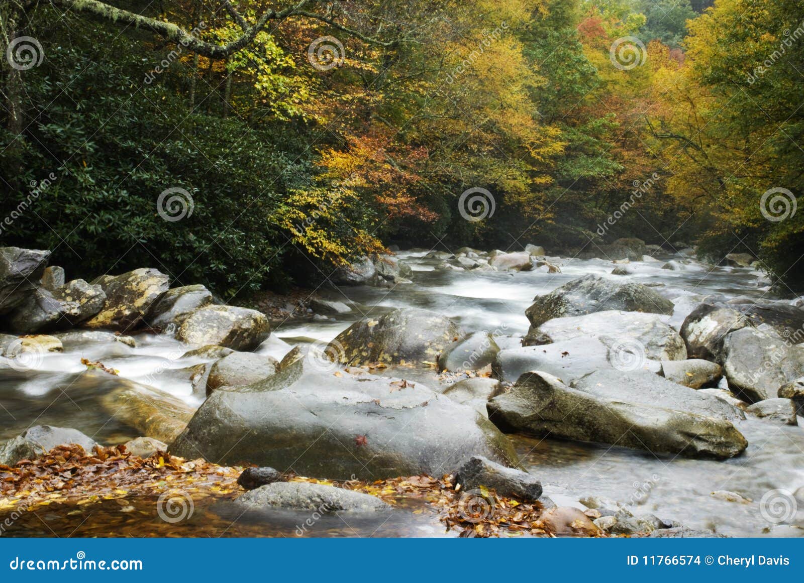 Flowing Water in Autumn stock photo. Image of national - 11766574