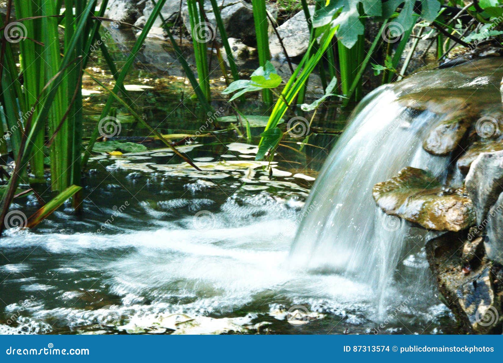 Flowing Water - Creative Commons By Gnuckx Picture. Image: 87313574