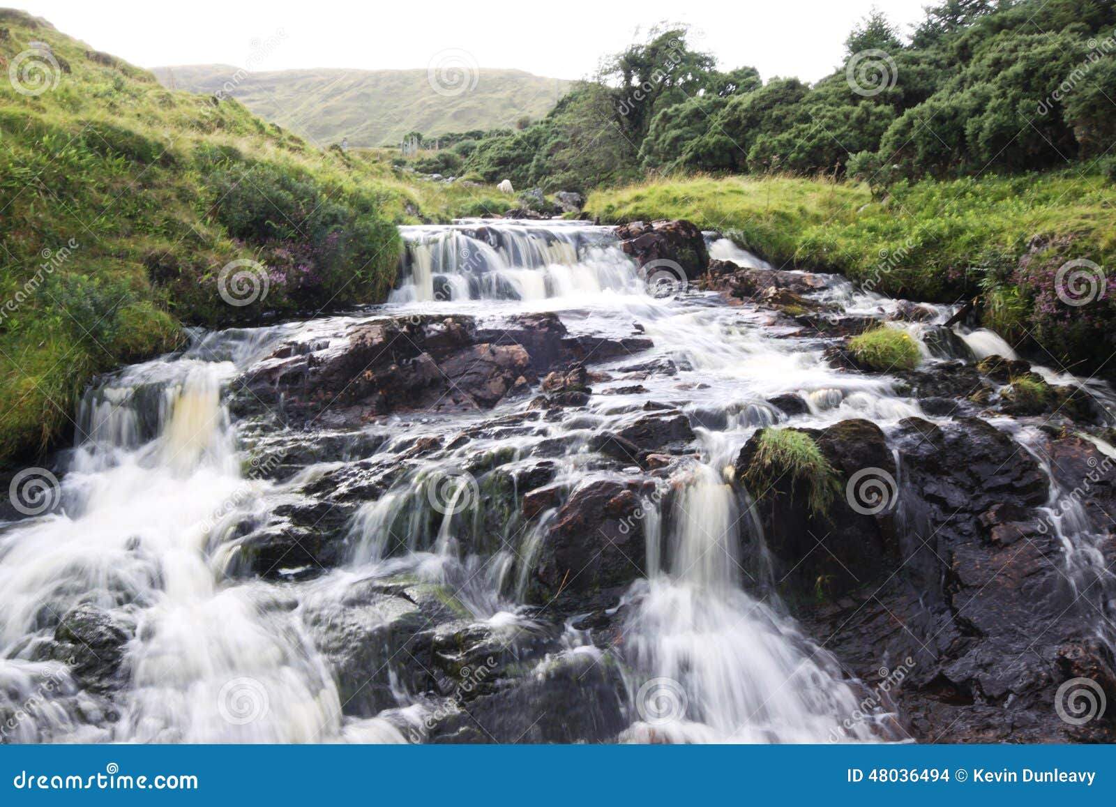 Flowing Water on a Mountain Stream Stock Photo - Image of descend ...