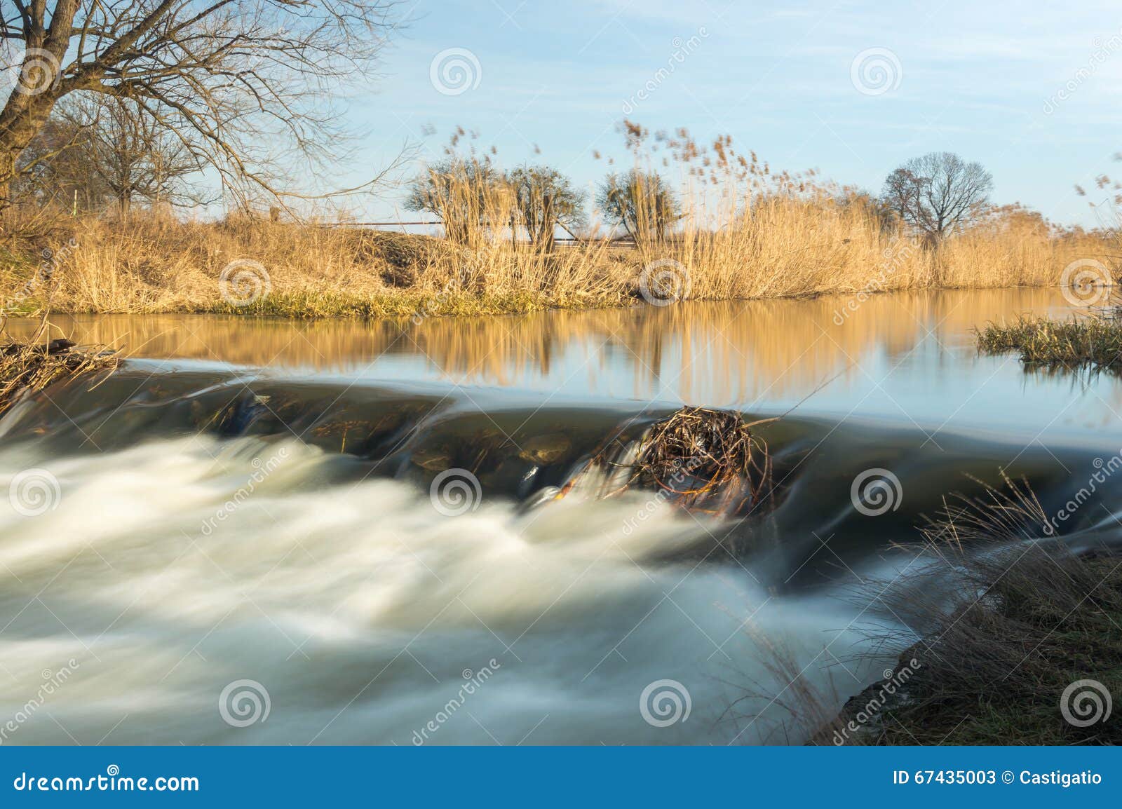 Flowing Water in the River, Coastal Vegetation Dispelled by Wind Stock ...