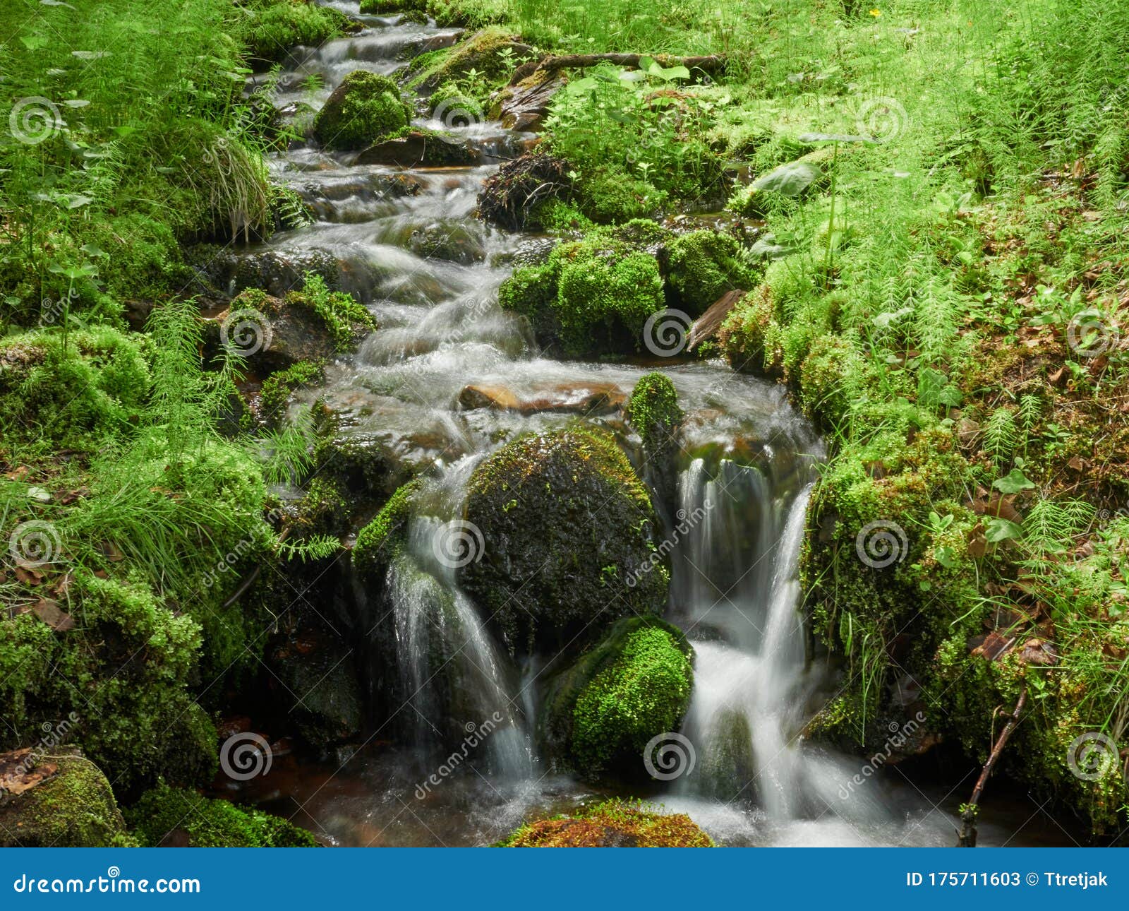Flowing Water in Small Creek Stock Image - Image of river, north: 175711603