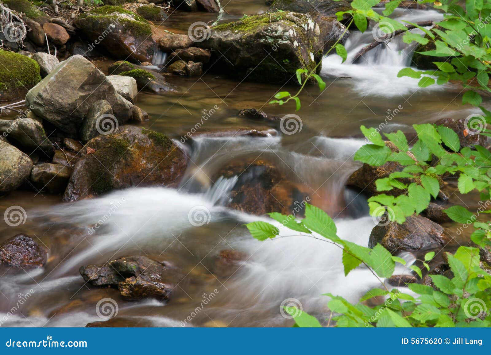 Flowing Water in the Stream Stock Photo - Image of beautiful, mossy ...